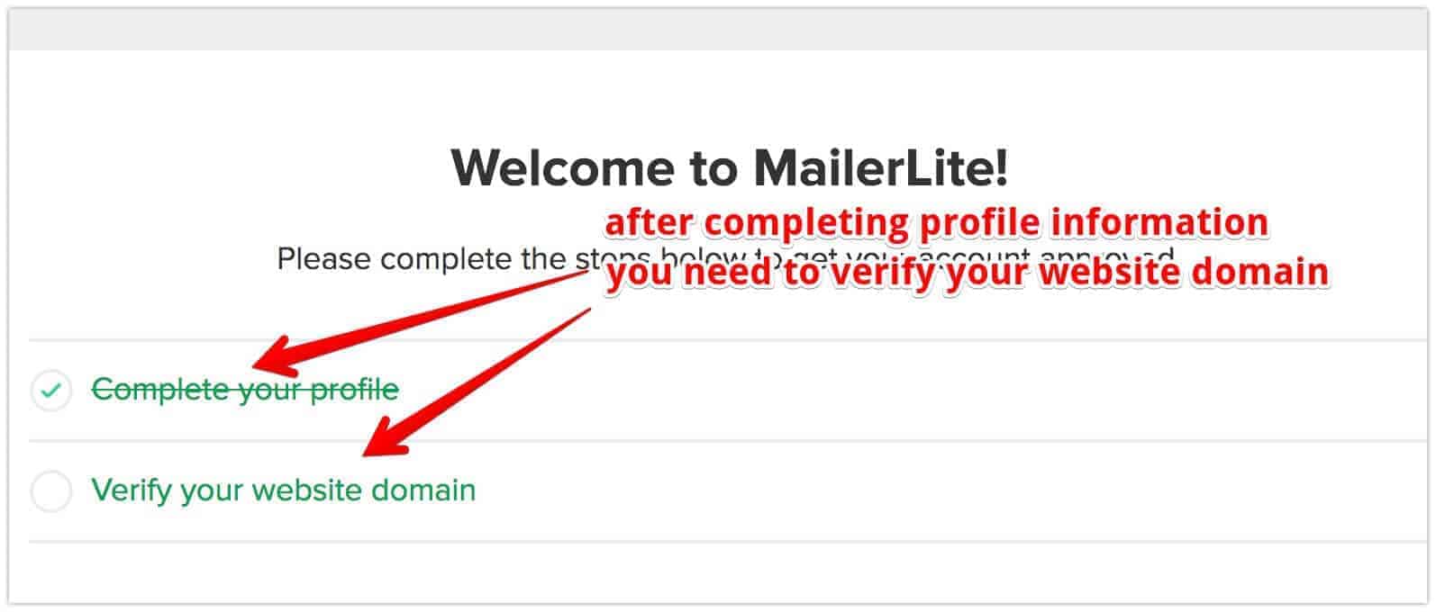 How to setup mailerlite to grow your email list within days - WpStairs